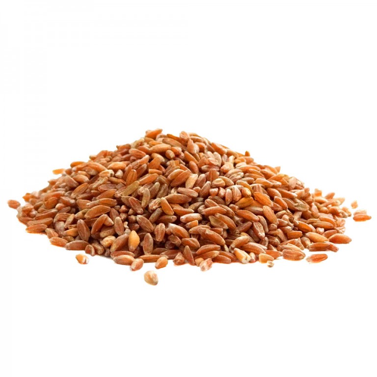 Organic Hard Red Wheat Kernels – Small Valley Milling